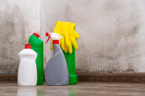 Black Mold on Windows: Prevention & Removal